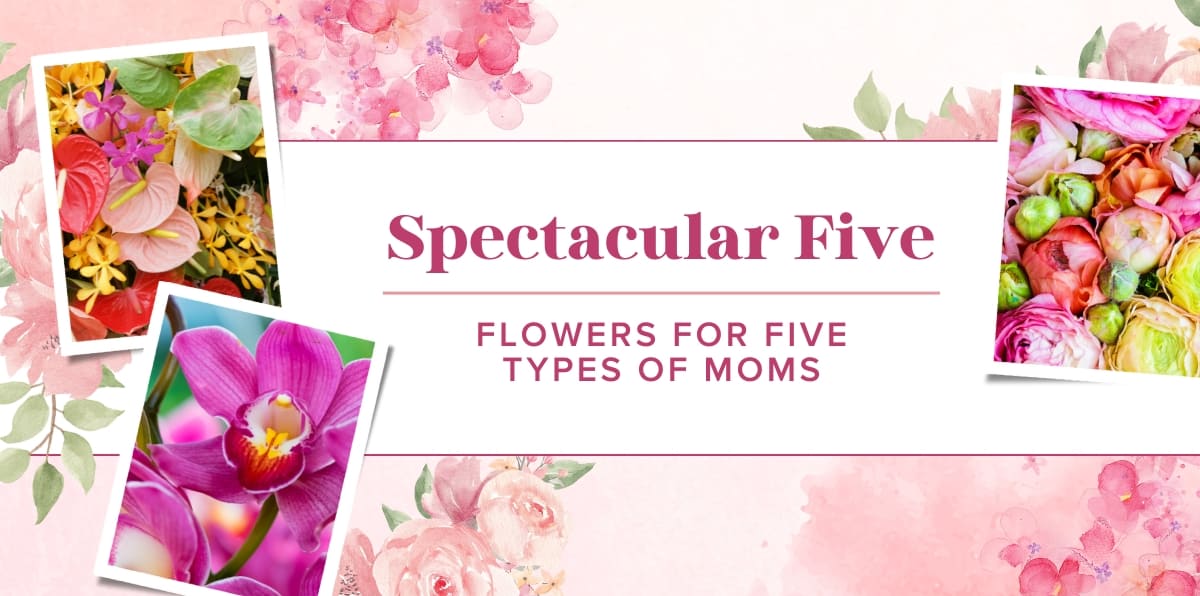 A Meaningful Mother’s Day Gift with Flowers That Speak to Her Heart ...